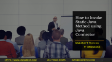 Mulesoft Java Connector Invoke Static Example