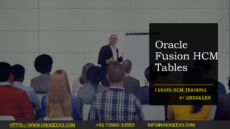 Oracle Fusion HCM Tables