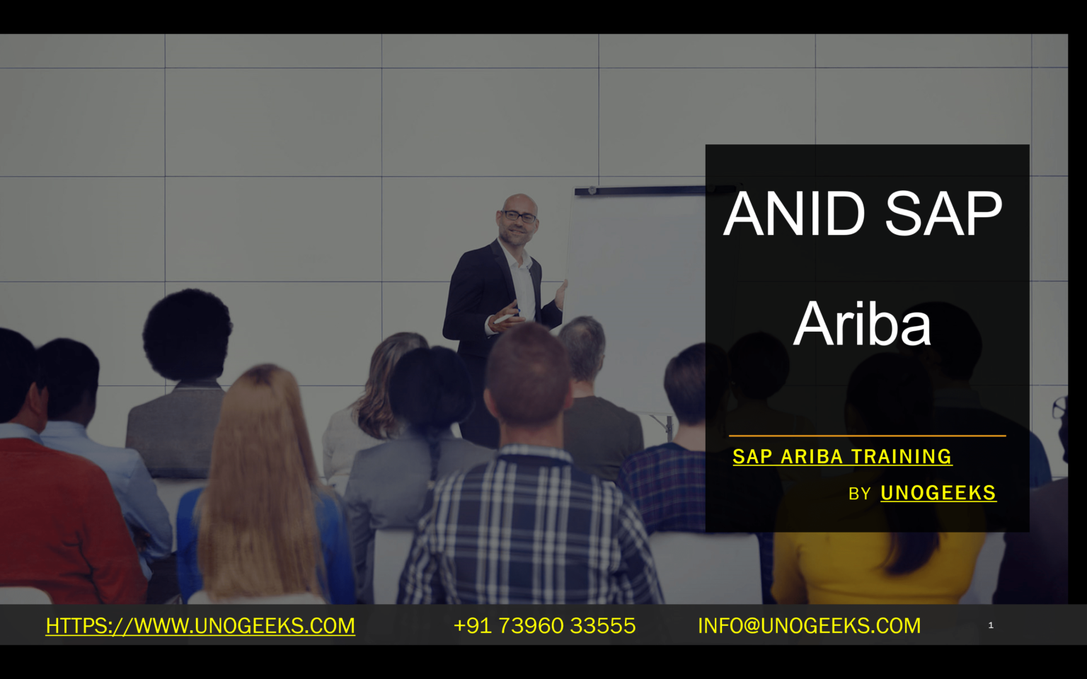 ANID SAP Ariba