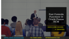 Fast Formula Functions in Oracle Fusion HCM