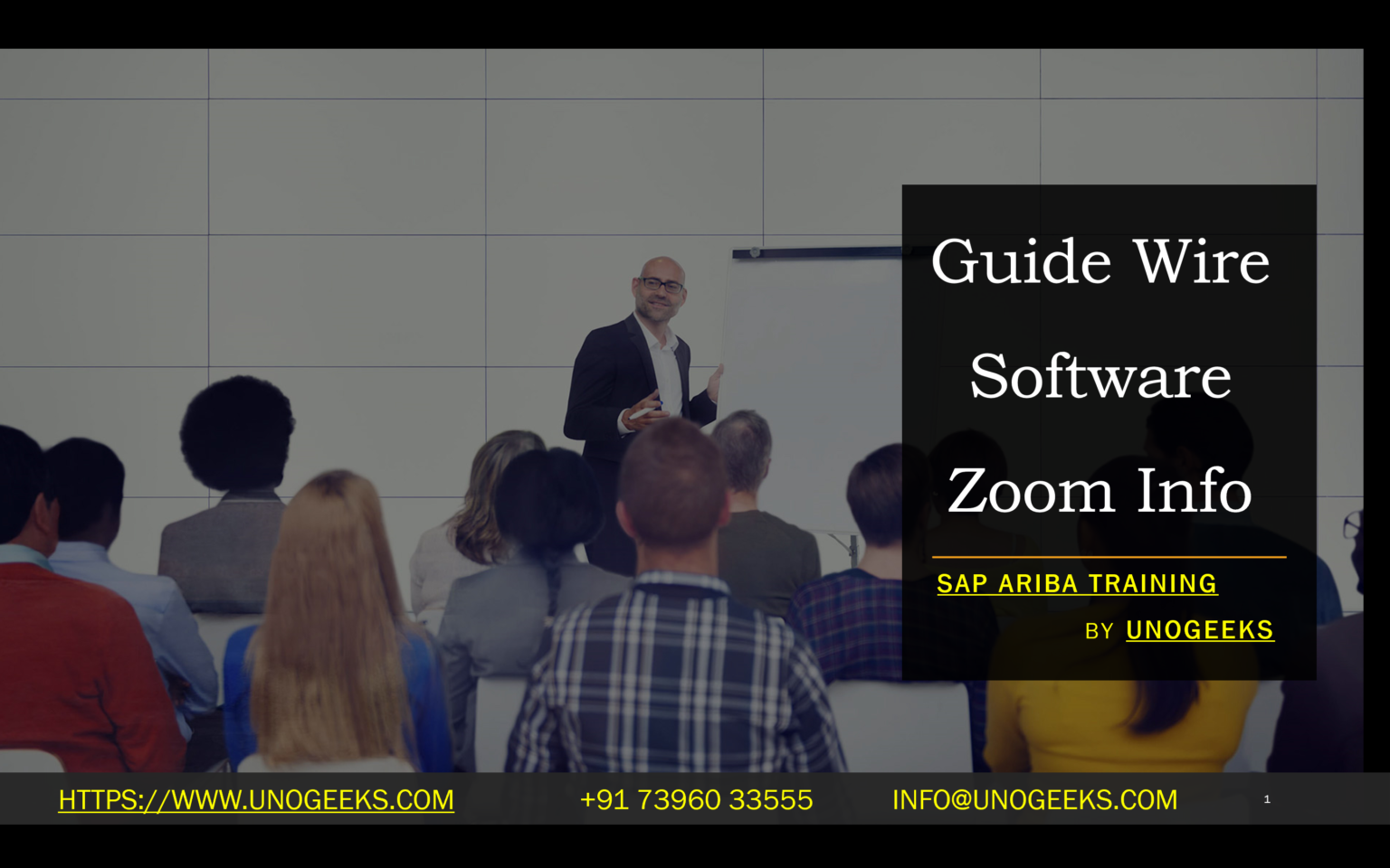 Guide Wire Software Zoom Info