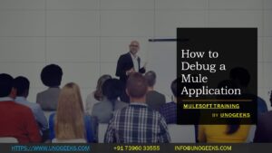 How to Debug a Mule Application