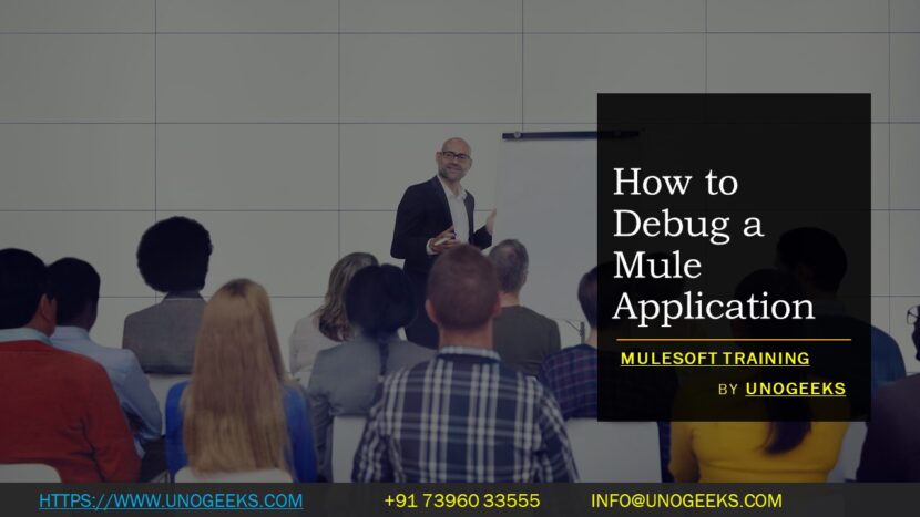 How To Debug A Mule Application