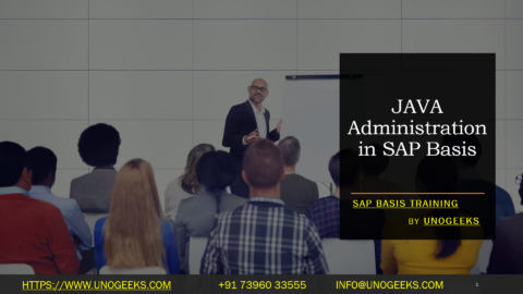 JAVA Administration in SAP Basis