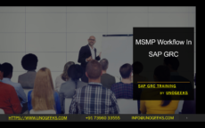 MSMP Workflow In SAP GRC