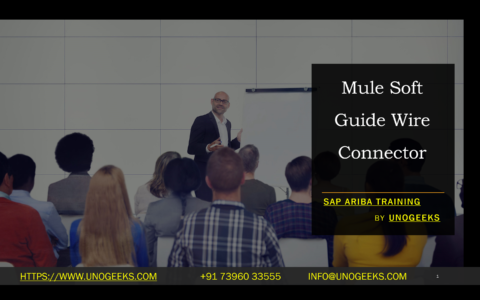 Mule Soft Guide Wire Connector