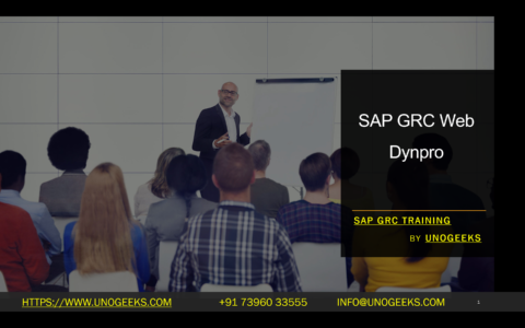 SAP GRC Web Dynpro