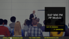 SAP MM PM PP Module