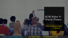 SCM Roles In Oracle Fusion