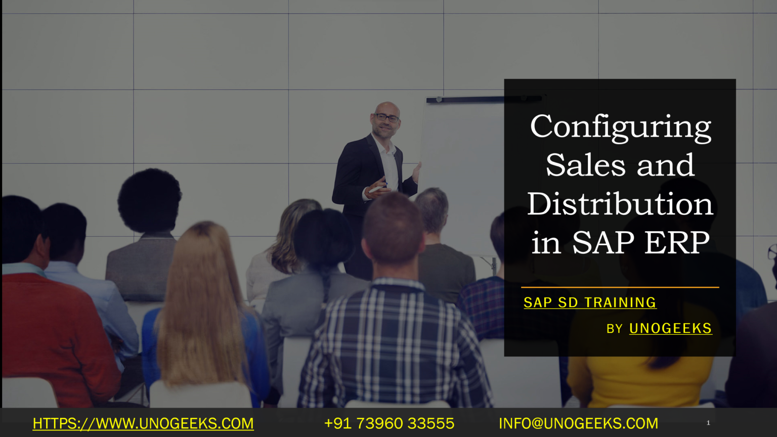 Configuring Sales and Distribution in SAP ERP
