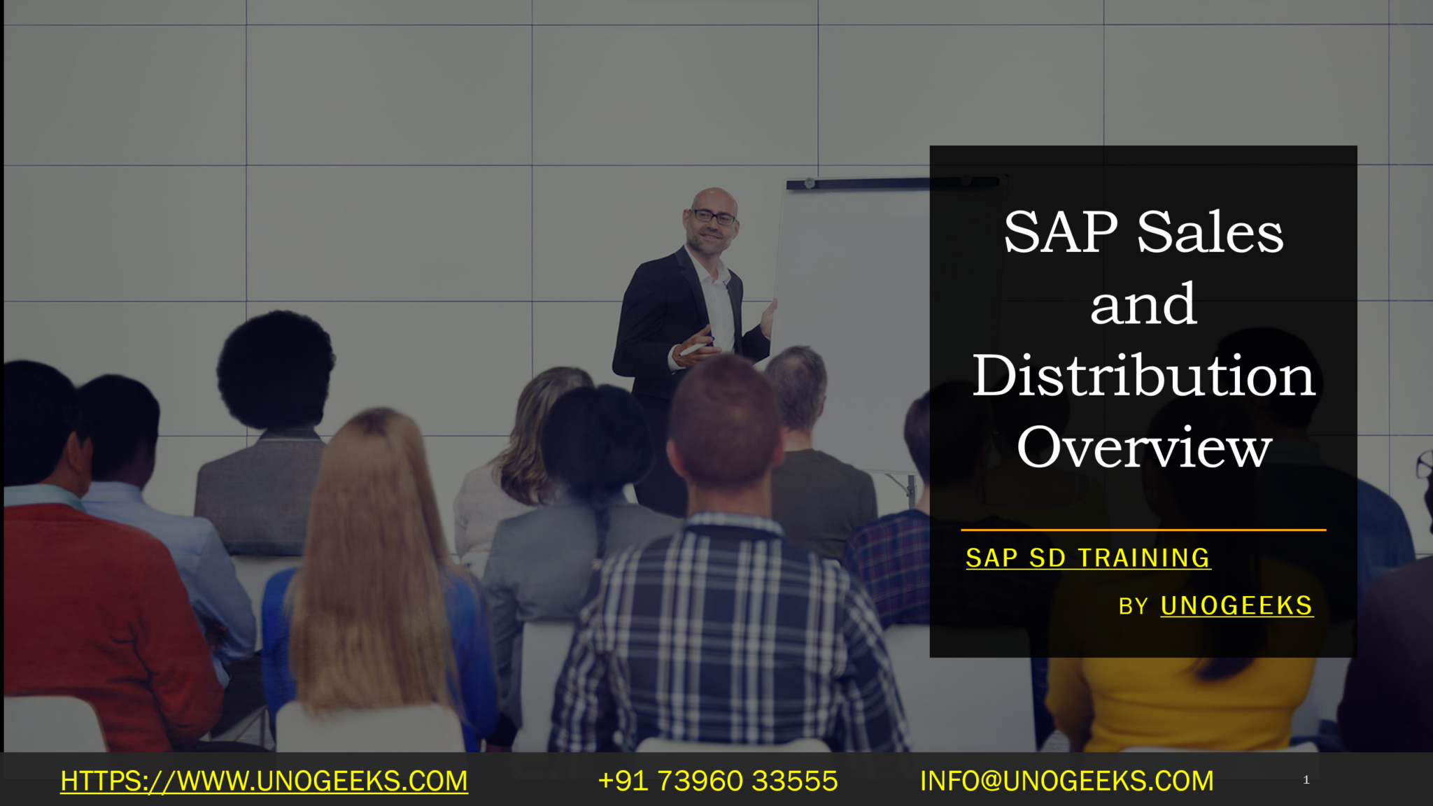 SAP Sales and Distribution Overview